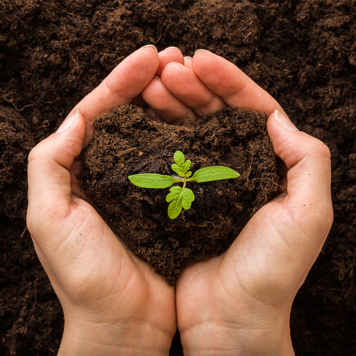 responsible-farming | South End Farmers Market — Charlotte, NC