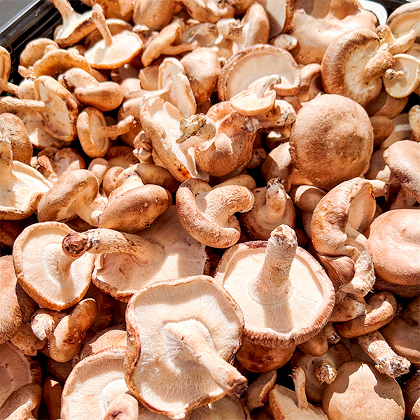 South End Farmers Market — Charlotte, NC